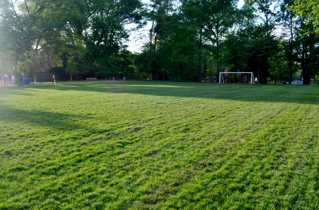 Oak Grove Park – Official Website of Arlington County Virginia Government