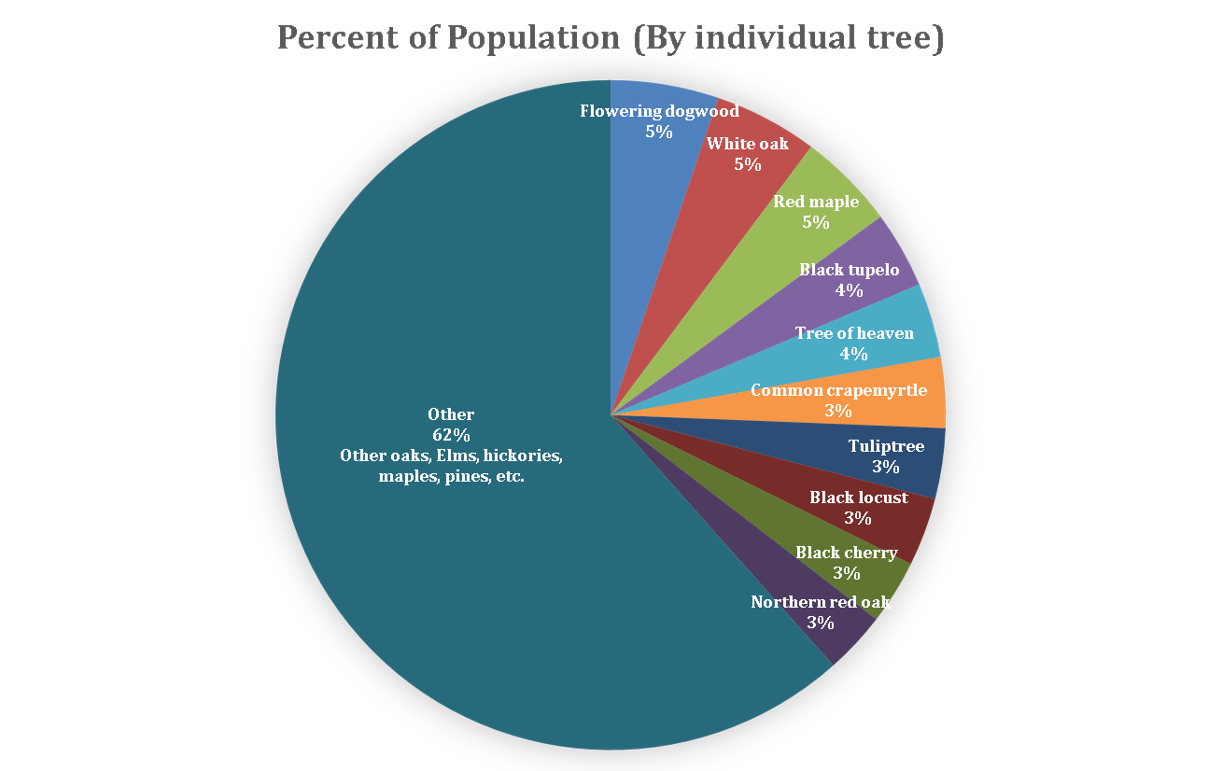 How many trees do we have in Arlington? – Official Website of Arlington ...