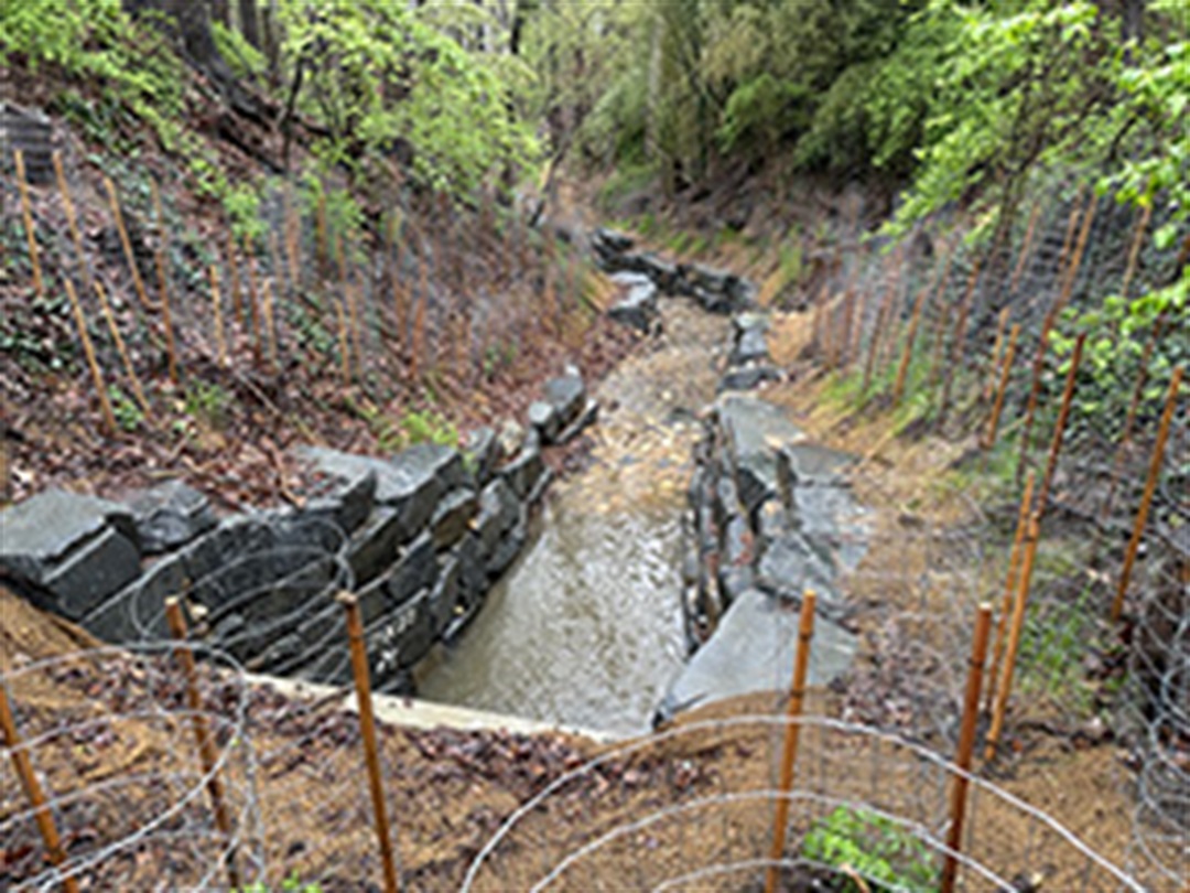 Donaldson Run Headwaters Outfall Repair – Official Website of Arlington ...