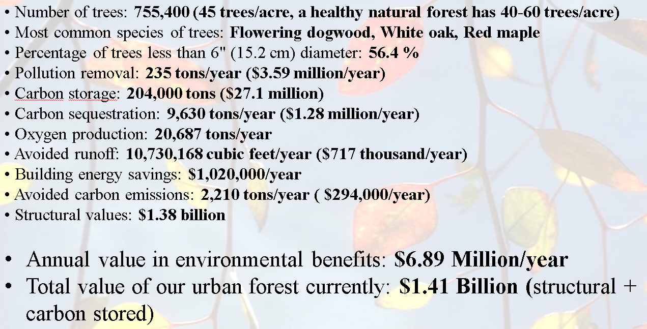 How many trees do we have in Arlington? – Official Website of Arlington ...