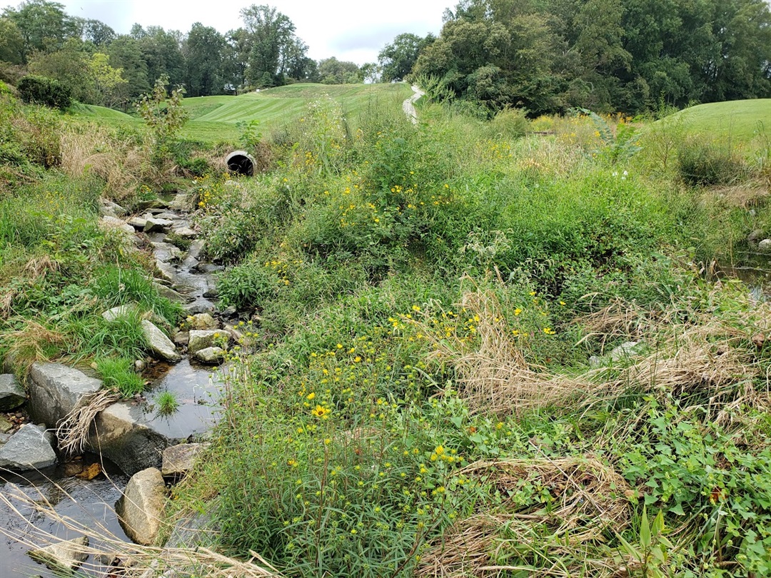 Arlington Golf Courses: Strategies for Protecting Water Quality ...