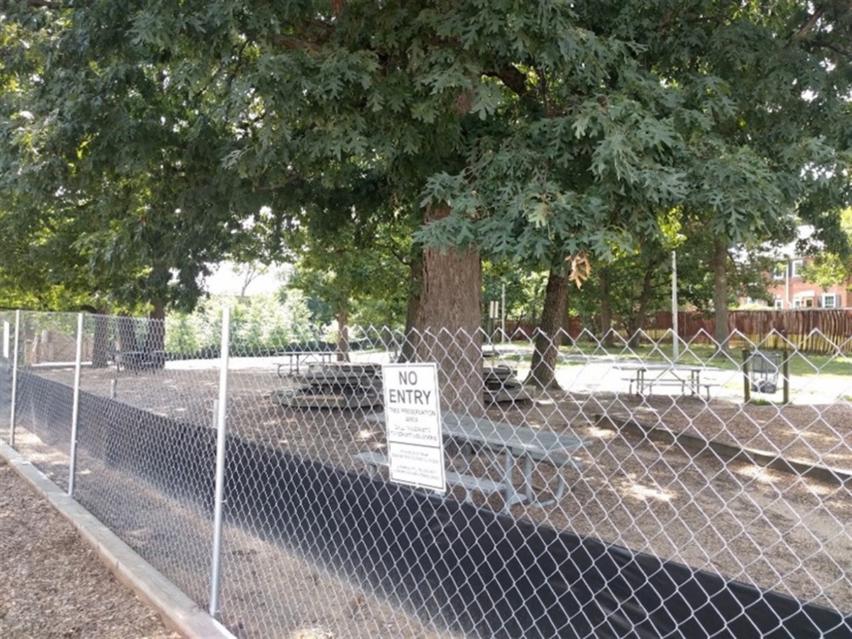 Permitting and Tree Protection – Official Website of Arlington County ...