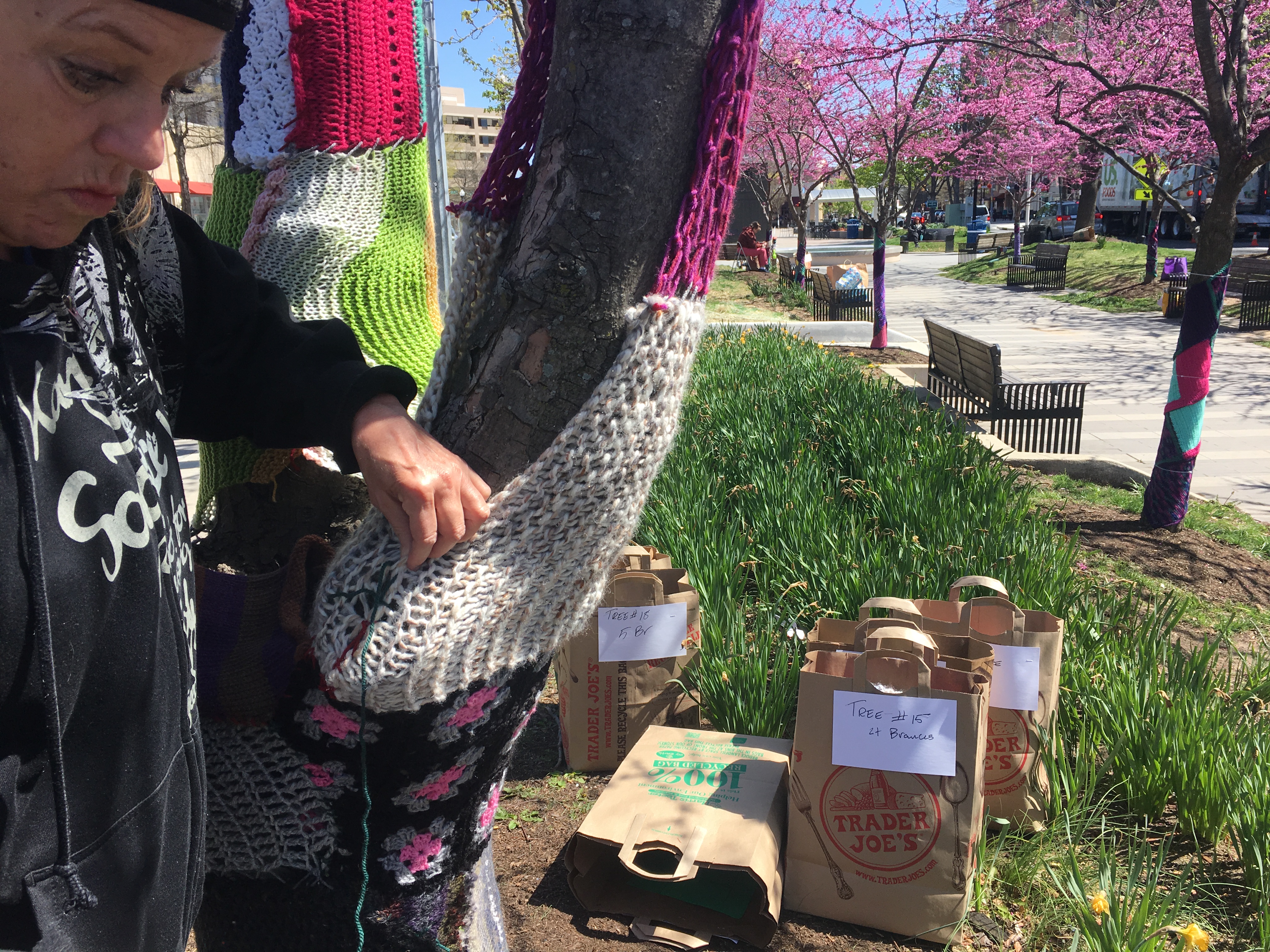 Watch as a 'Yarn Bomb' Transforms Clarendon – Official Website of ...