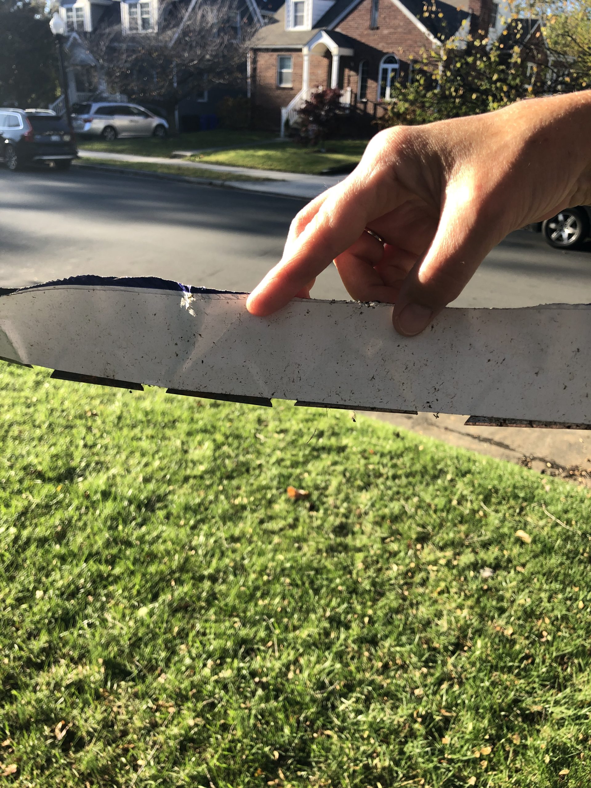 Police Urge Caution When Removing Political Signage – Official Website ...