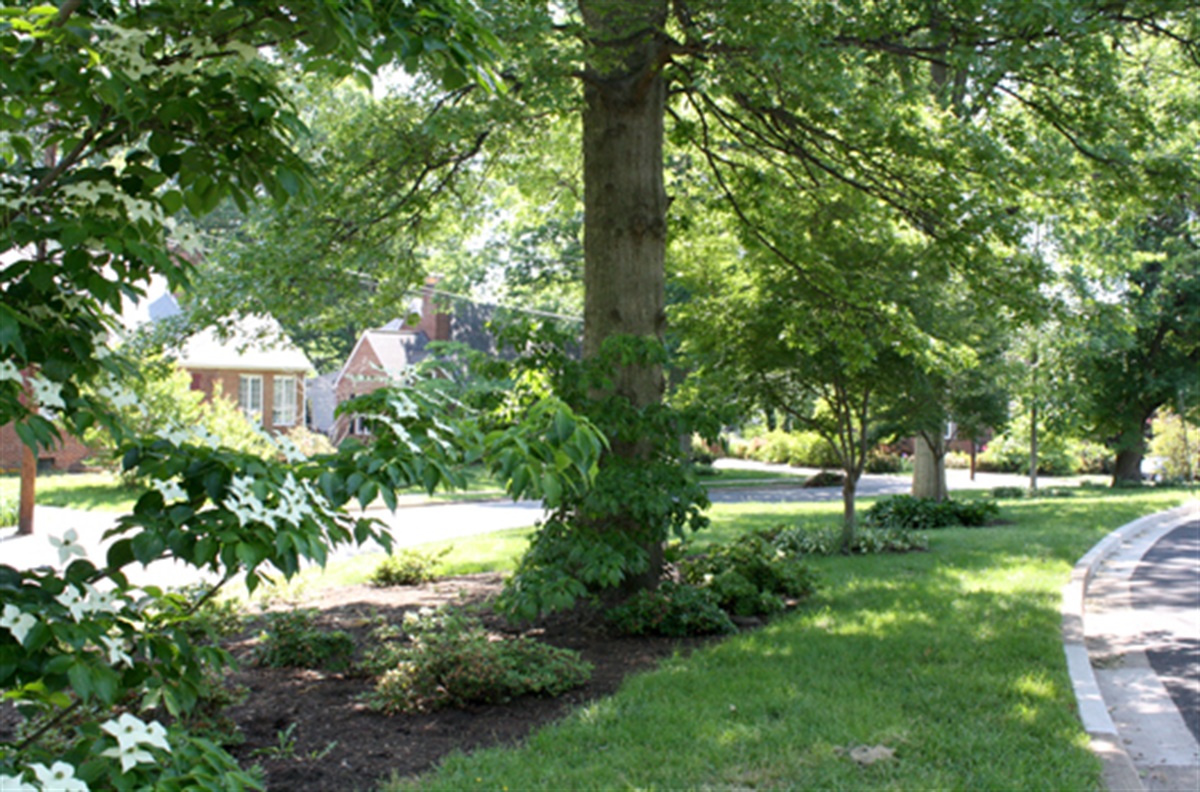 21st St N & N Potomac St Park – Official Website of Arlington County ...