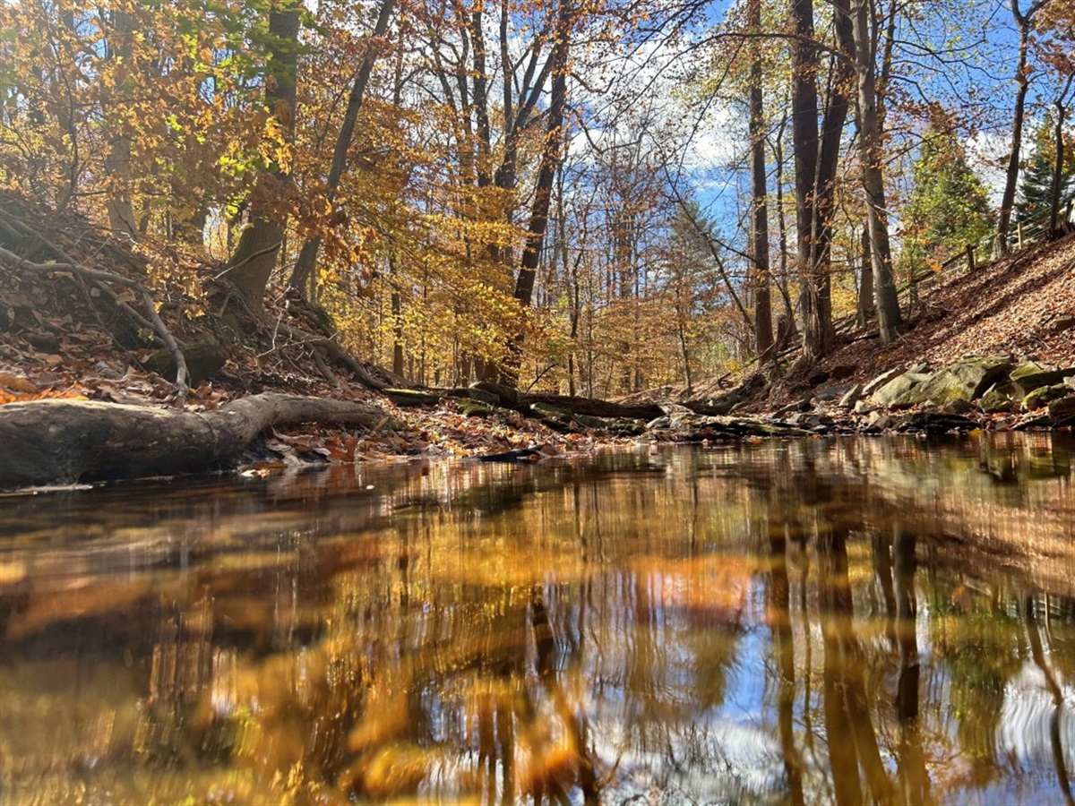 Donaldson Run Park – Official Website of Arlington County Virginia ...