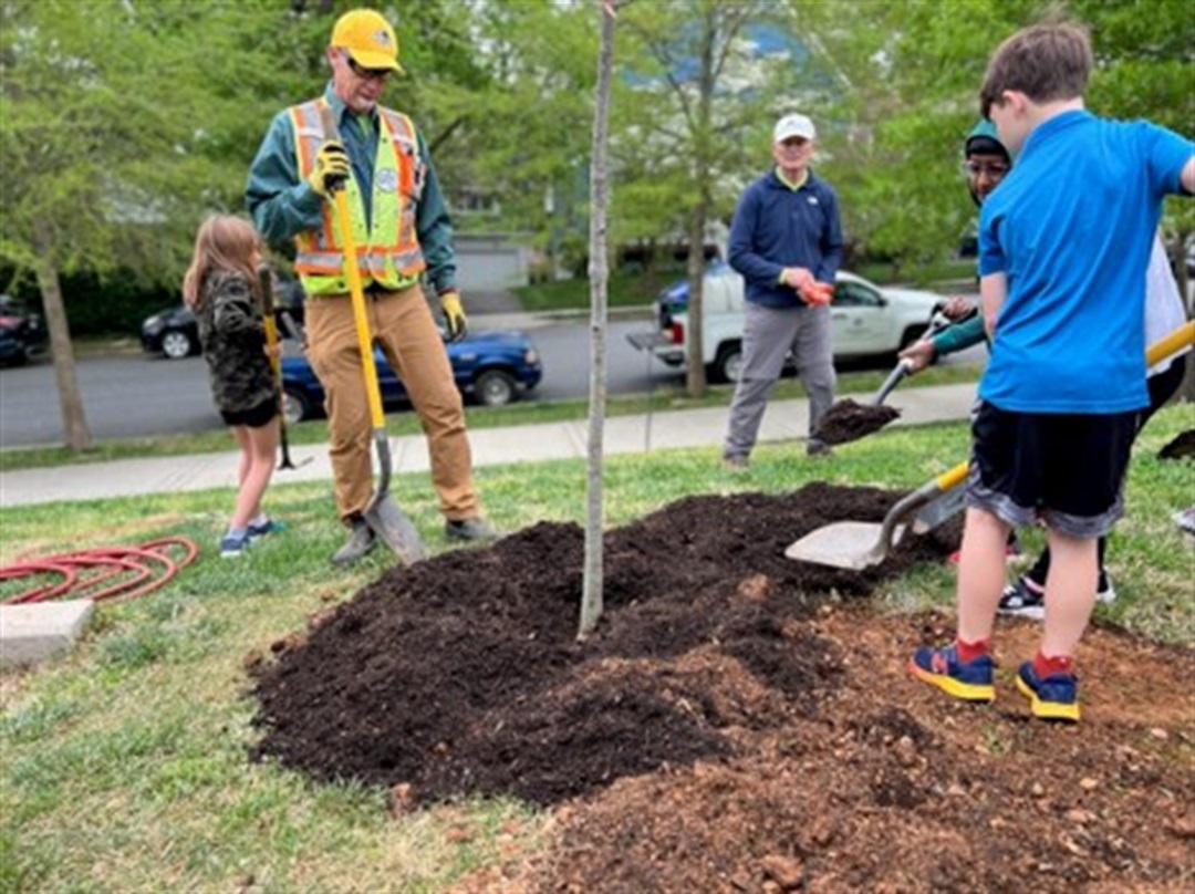 100 Trees to Be Planted at Arlington Public Schools – Official Website ...