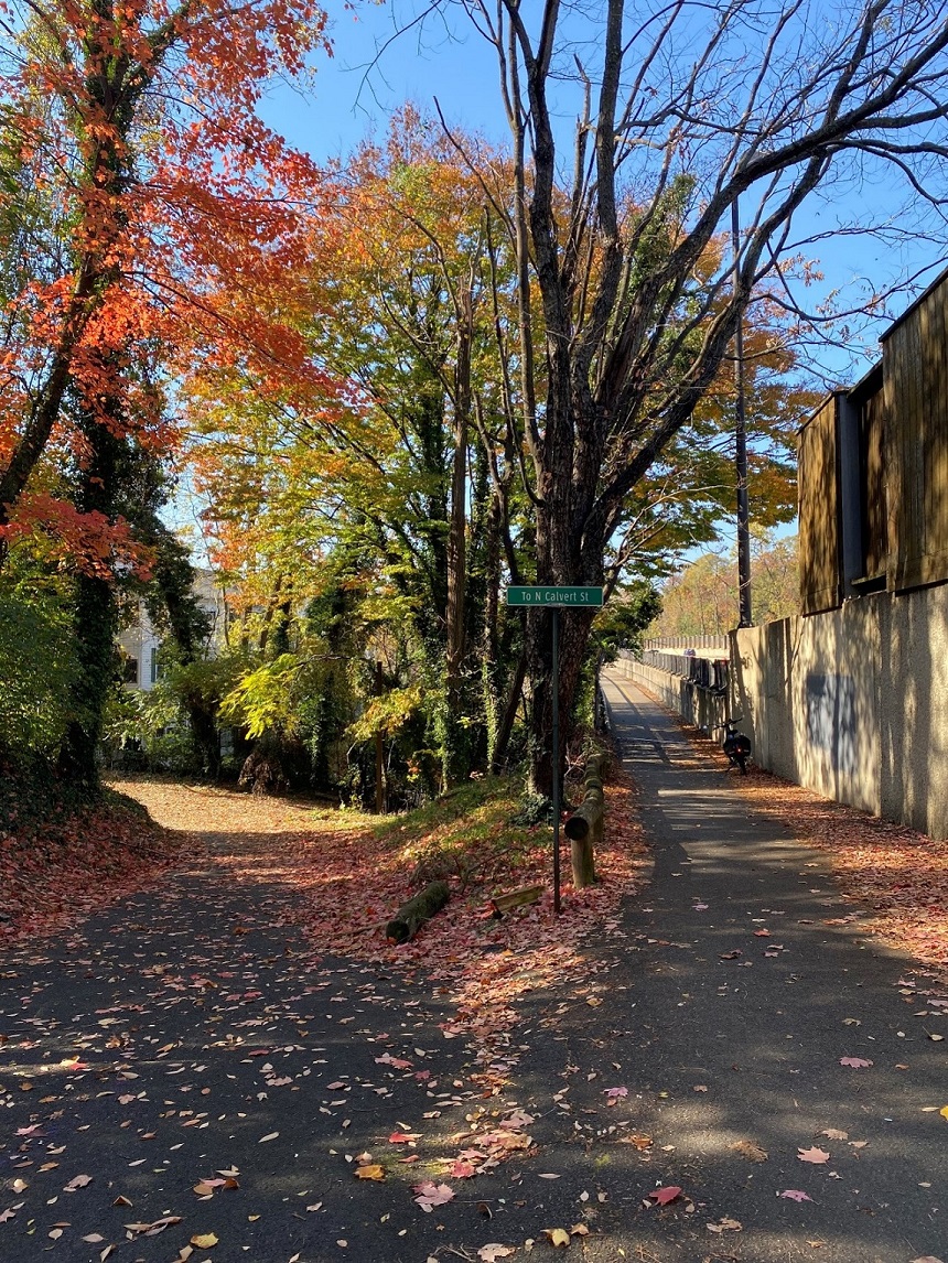 Custis Trail Needs Assessment – Official Website of Arlington County ...