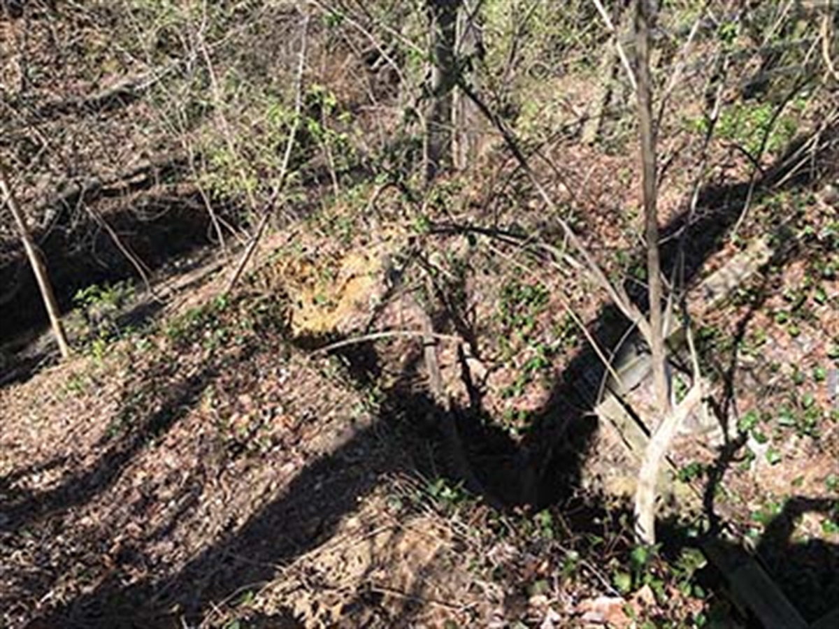 Donaldson Run Headwaters Outfall Repair – Official Website of Arlington ...